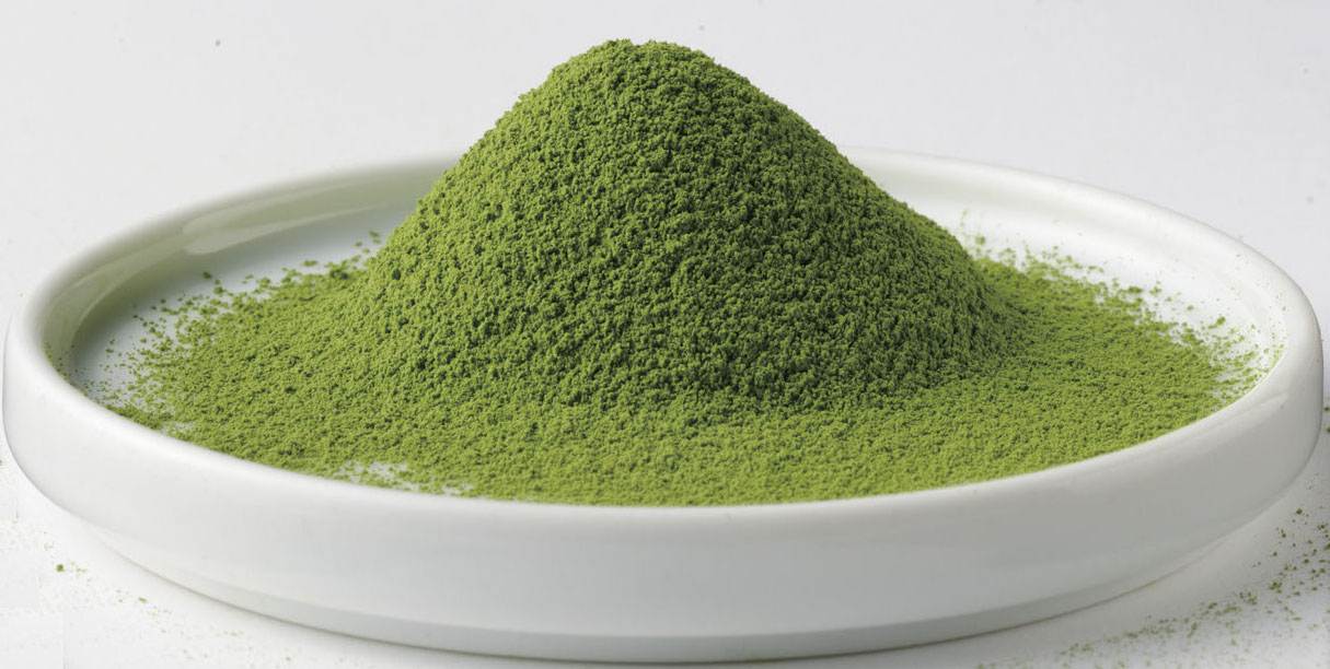 Culinary Matcha - Maruyama Tea Corp